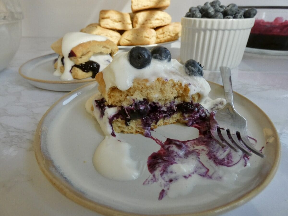 Simple Blueberry Shortcake - Half the Sugar